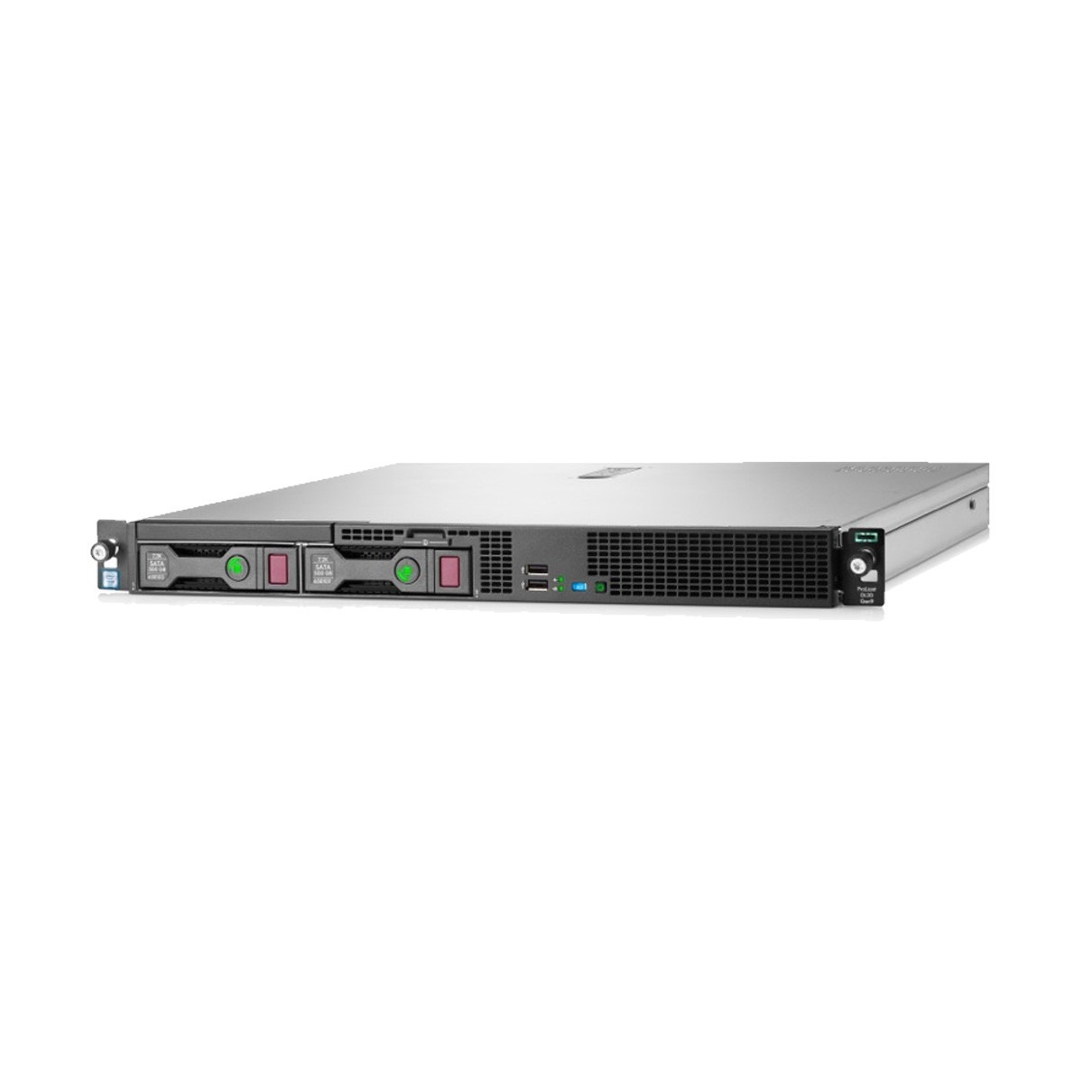 HP DL20 Gen 10 p/n RM-HP-DL20G10 – Animal Systems